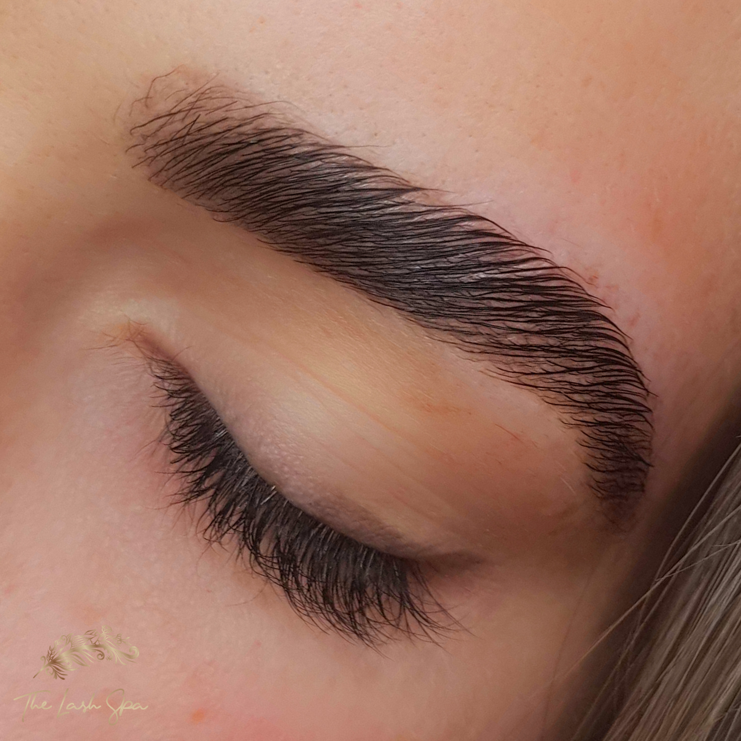 brow perm Gold Coast • The Lash Spa