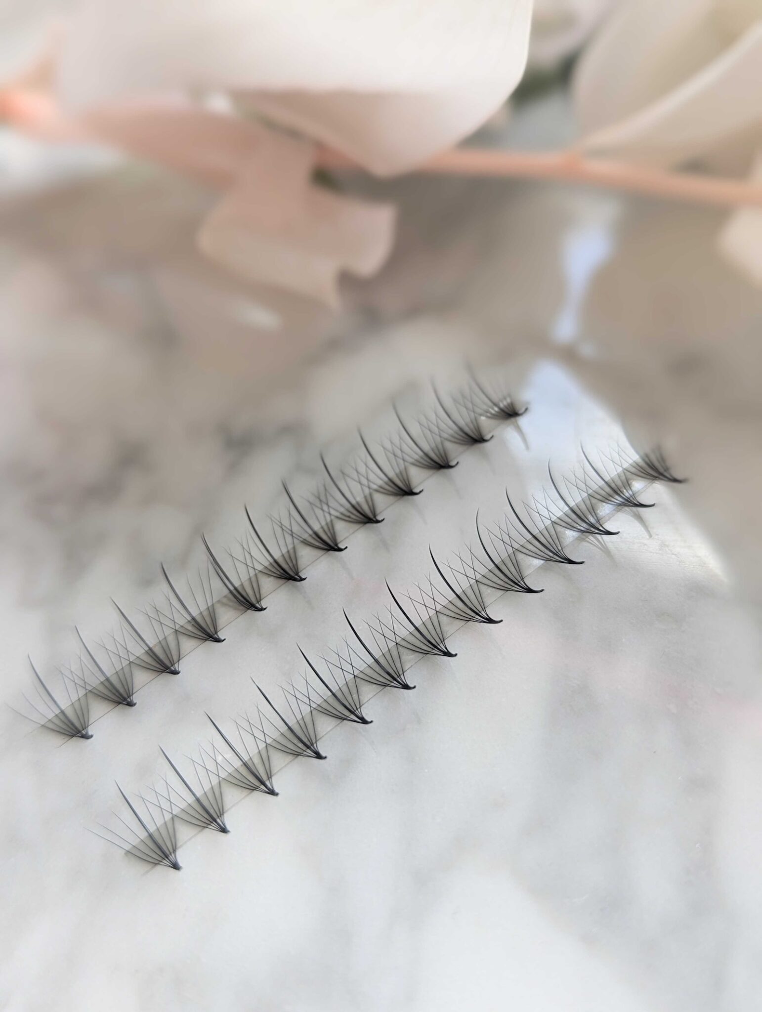 Wispy Eyelash Extensions Gold Coast | The Lash Spa