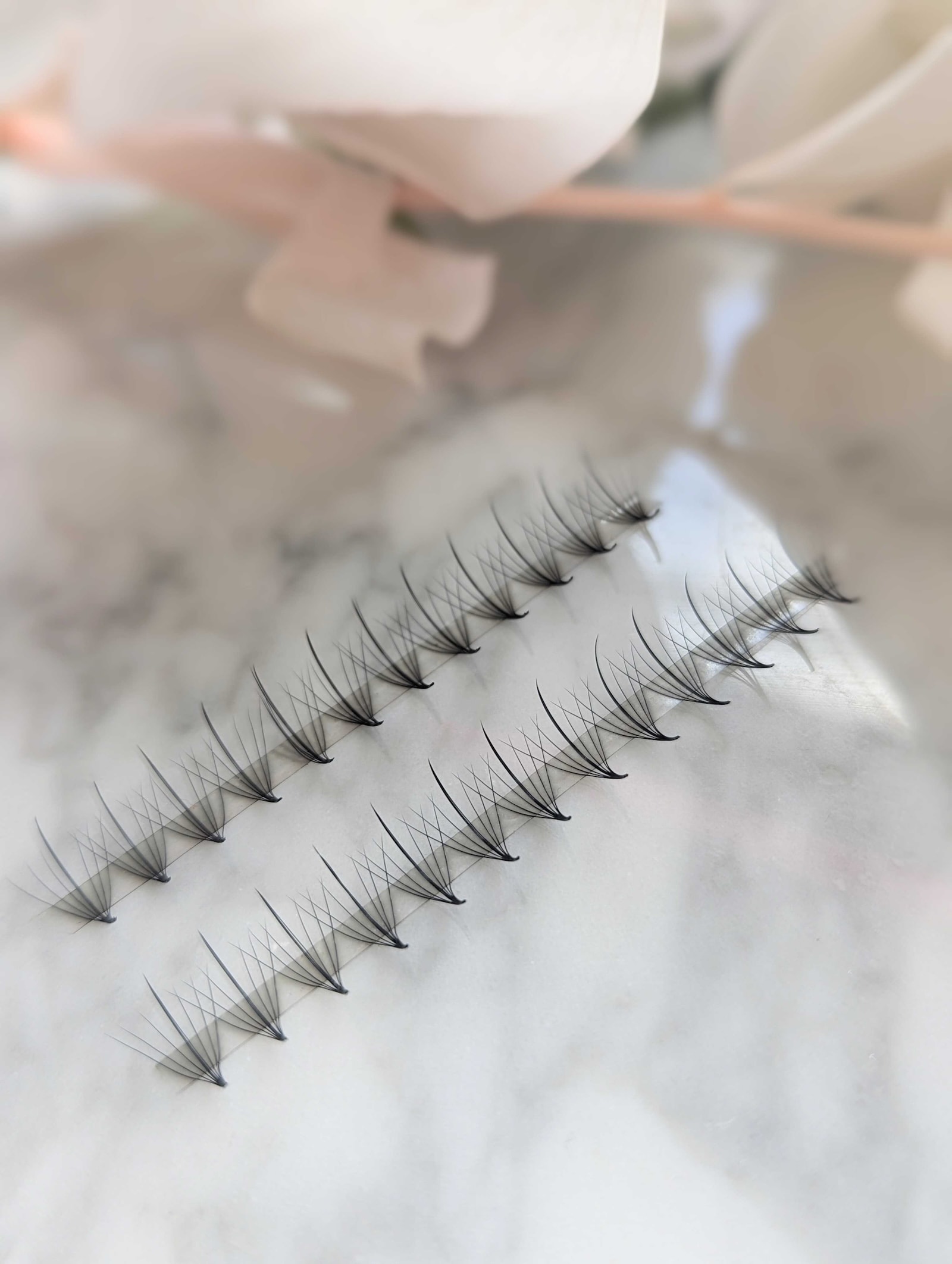 Wispy Eyelash Extensions Gold Coast | The Lash Spa