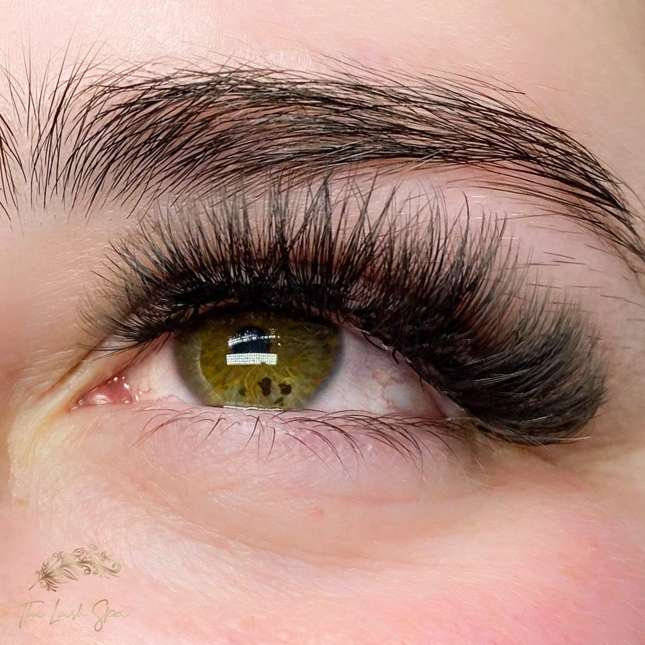 Max Volume Eyelash Extensions Gold Coast | Mega Volume